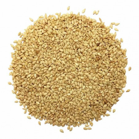 SESAMZAAD Geroosterd Organic 2x5 kg